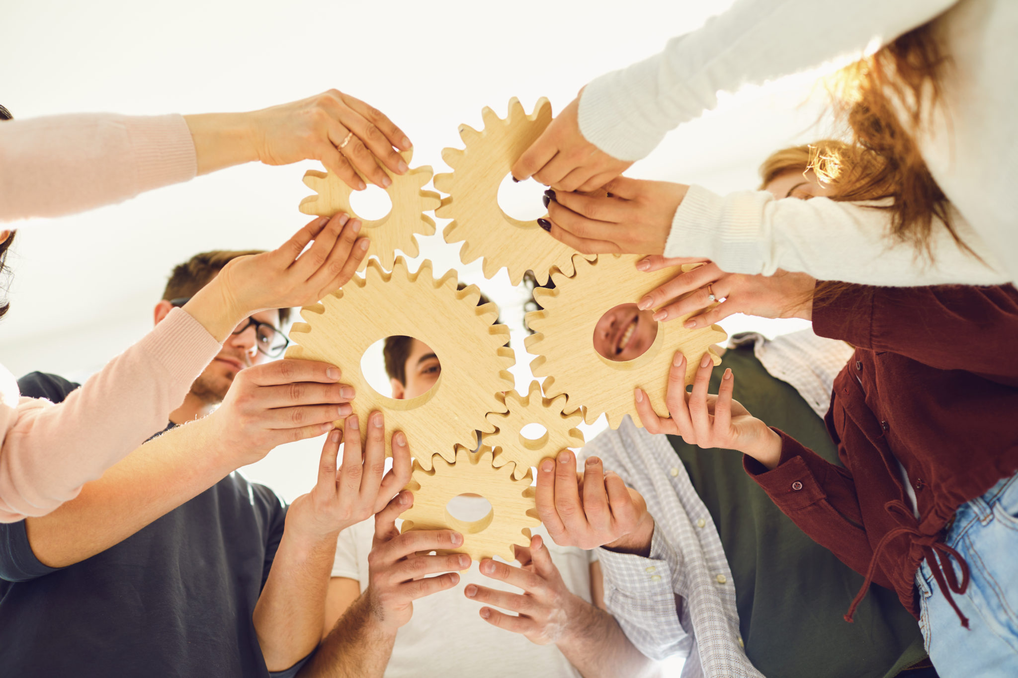 Studium & Lehre – CHE